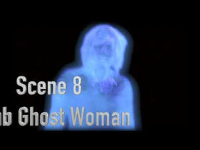 Zombie Ghosts | Window Projection Effect | Christmas Light Emporium ...
